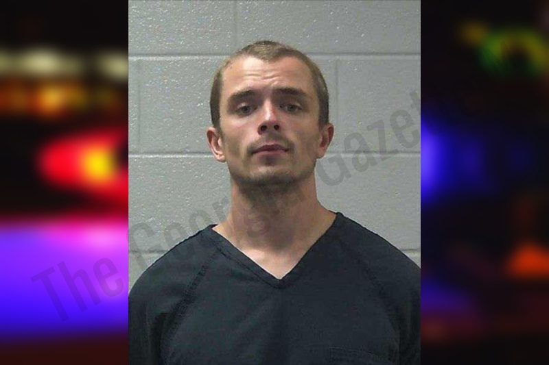 Ashley Wilson — Gilmer County Jail Bookings