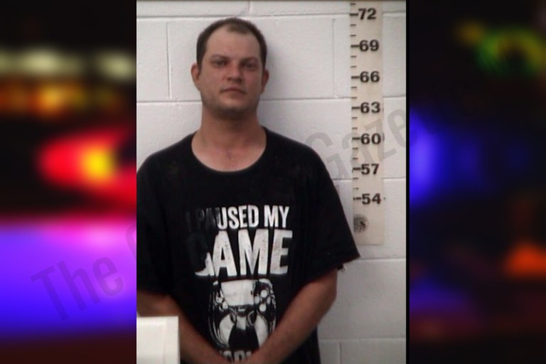 Andrew Wiseman — Emanuel County Jail Bookings