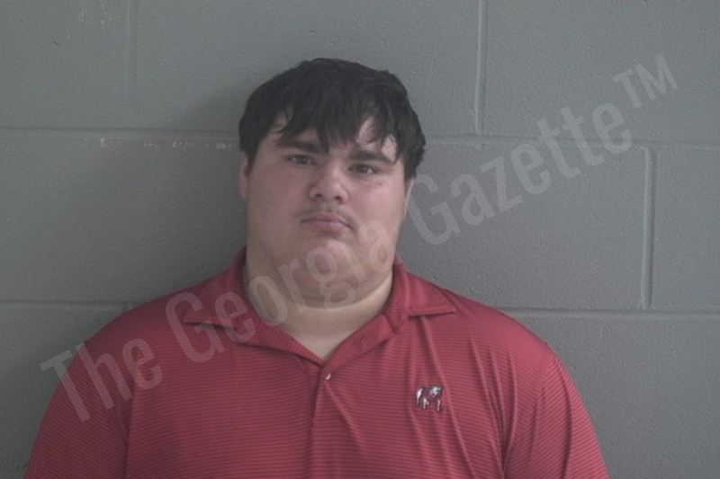 Hunter Wooten — Brantley County Jail Bookings