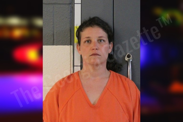 Sarah Zeitlin — Lumpkin County Jail Bookings