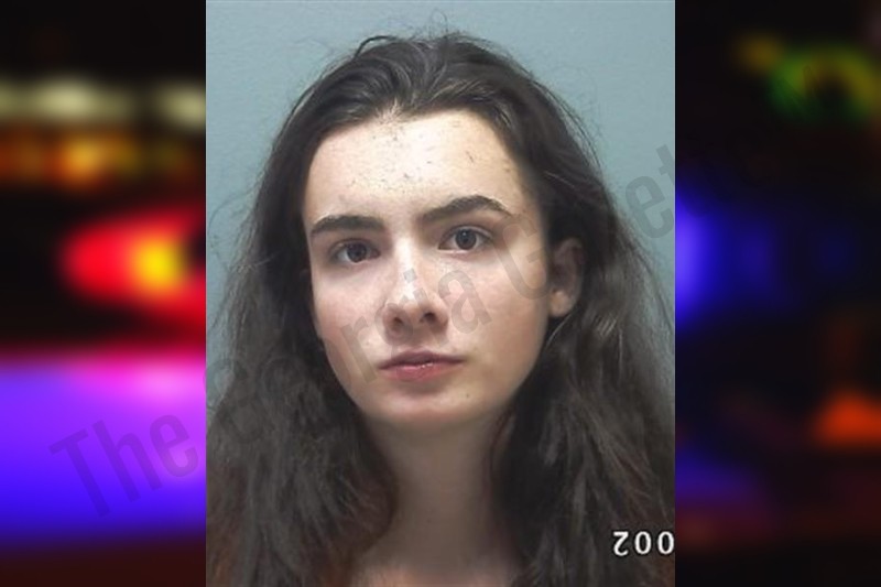 Allison Altman — Cherokee County Jail Bookings