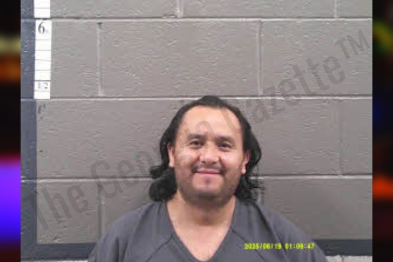 Banks County Jail Bookings – Page 3 – The Georgia Gazette