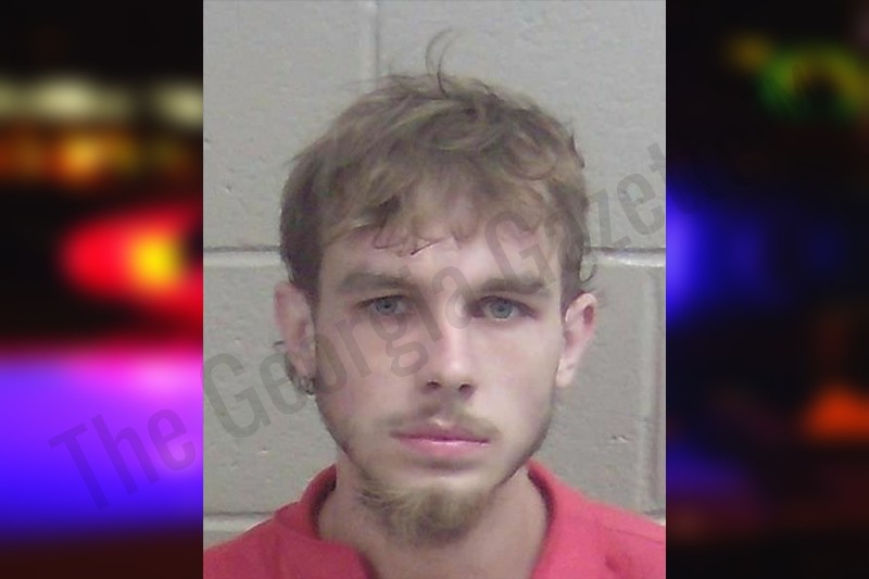 Ethan Anderson — Wayne County Jail Bookings