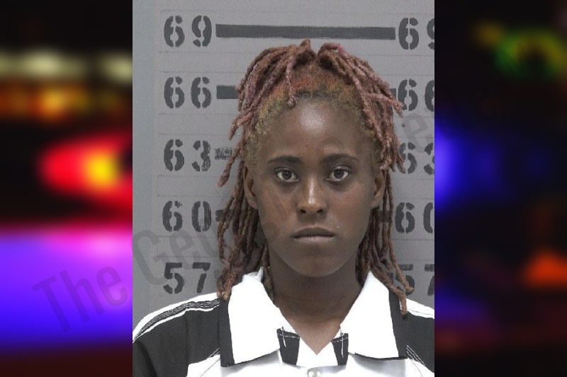 Dougherty County Jail Bookings – Page 2 – The Georgia Gazette