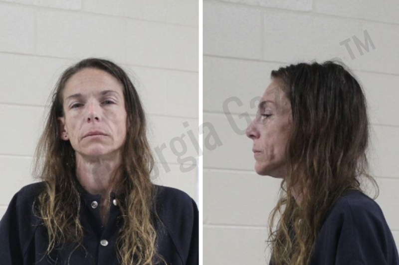 Haylee Bassett — Houston County Jail Bookings