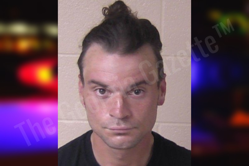 Correy Blevins — Walker County Jail Bookings