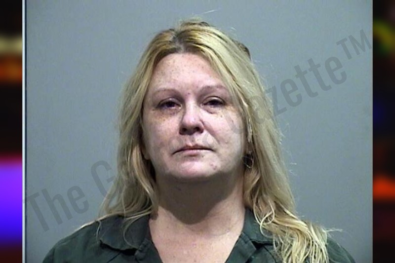 Robin Brinson — Effingham County Jail Bookings