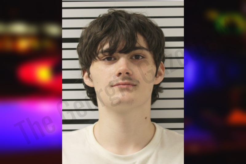 Angel Carroll — Toombs County Jail Bookings