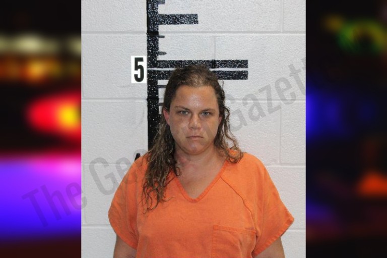 Murray County Jail Bookings – Page 4 – The Georgia Gazette