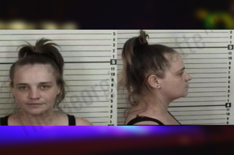 Michelle Casey — Camden County Jail Bookings