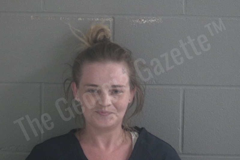 Michelle Casey — Brantley County Jail Bookings