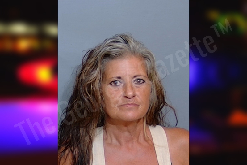 Melanie Cook — Glynn County Jail Bookings