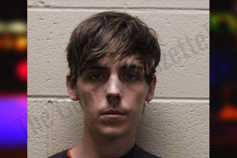 Dakota Deese — Haralson County Jail Bookings