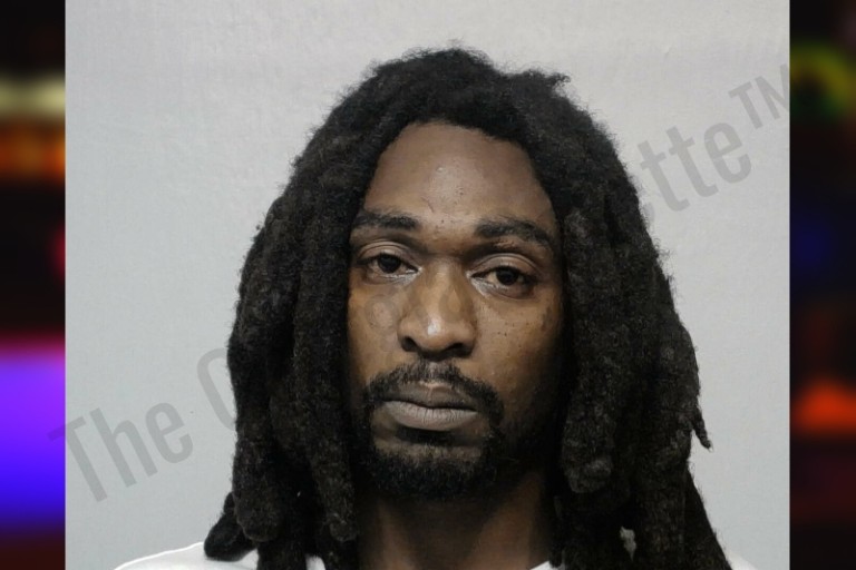 Bibb County Jail Bookings – Page 4 – The Georgia Gazette