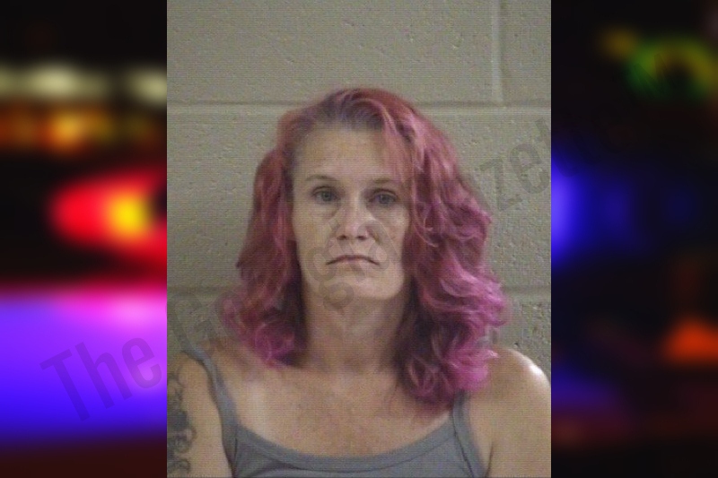 Dorrie Dunagan — Whitfield County Jail Bookings