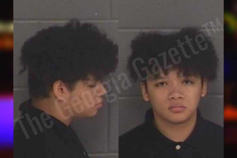 Javan Eggerstedt — Barrow County Jail Bookings