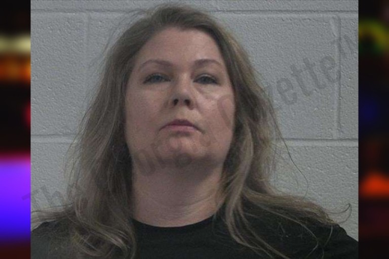 Amanda Evans — McDuffie County Jail Bookings