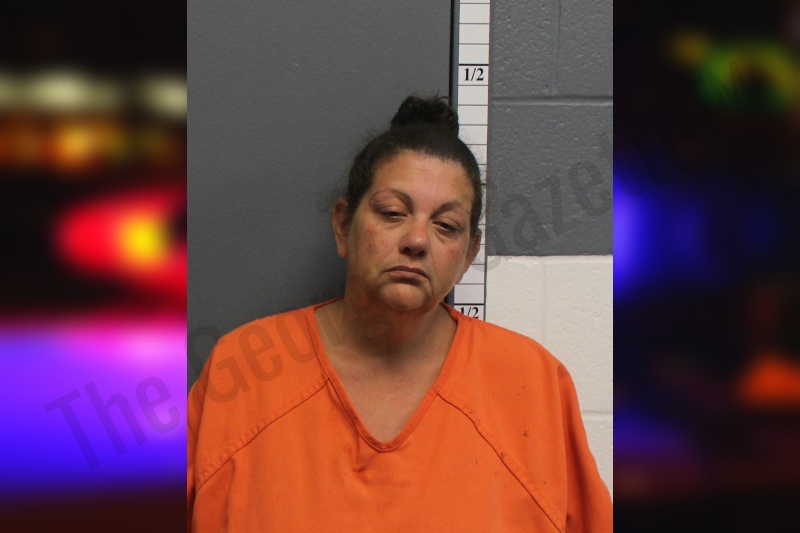 Lisa Evans — Lumpkin County Jail Bookings