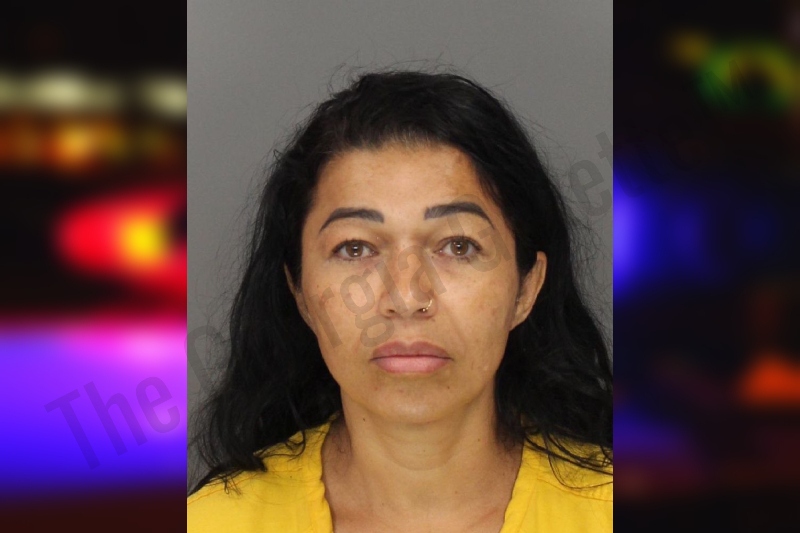 Maria Foster — Cobb County Jail Bookings