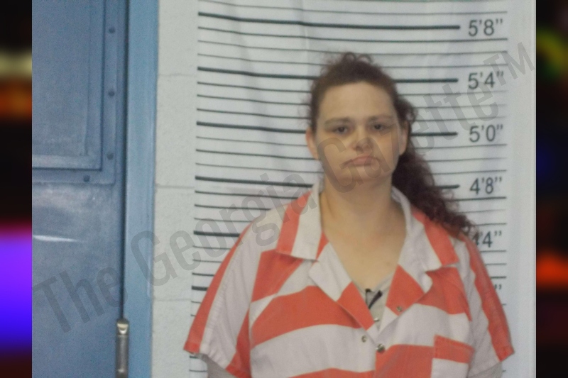 Brandi Ford — Stephens County Jail Bookings
