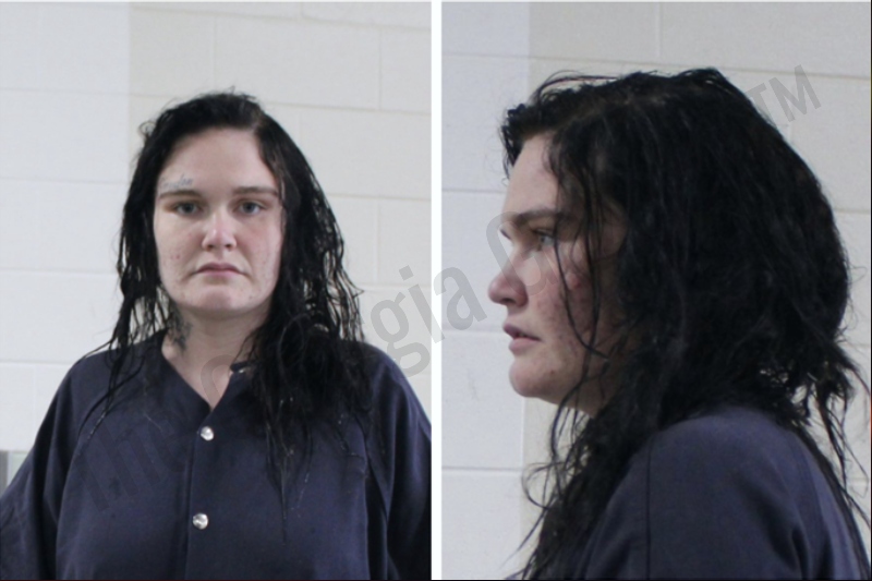 Jessica Ford — Houston County Jail Bookings
