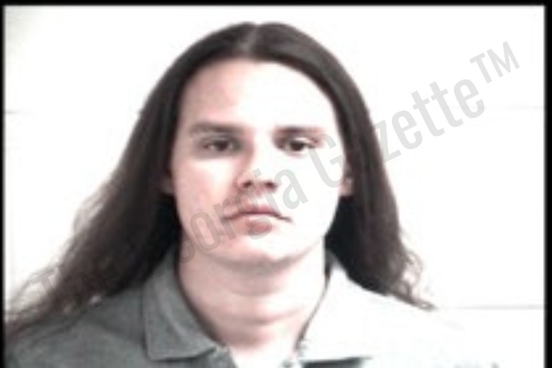 William Gilham — Henry County Jail Bookings