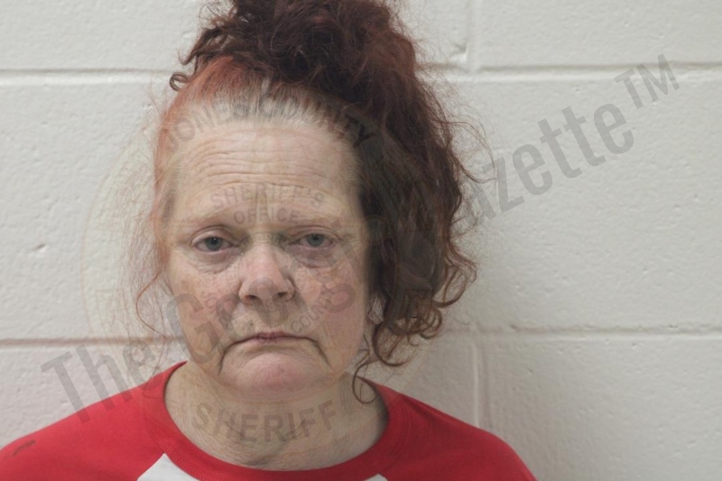 Janice Goodwin — Jones County Jail Bookings