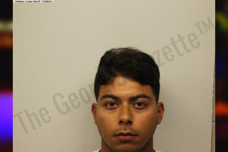 Seth Guzman — Chatham County Jail Bookings