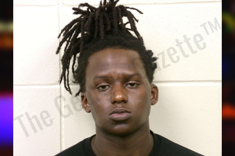 Michael Hamilton — Bulloch County Jail Bookings