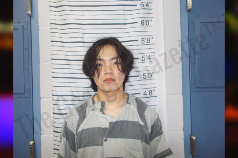 Dylan Han — Stephens County Jail Bookings