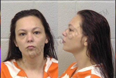 Jessica Head — Paulding County Jail Bookings