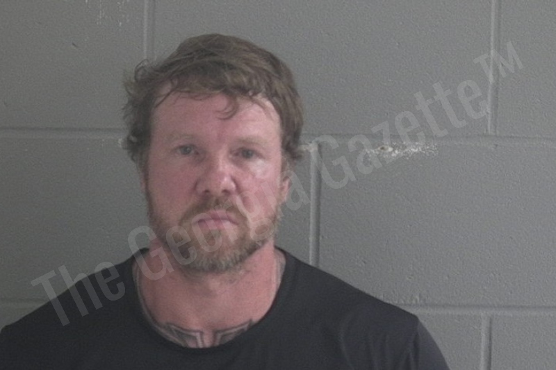 Ashley Hendricks — Brantley County Jail Bookings