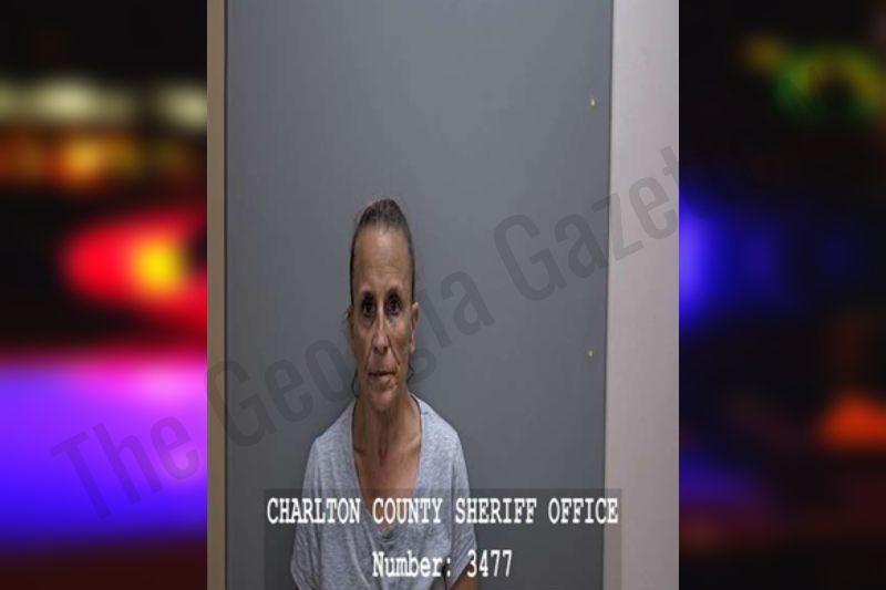 Danielle Holmes — Charlton County Jail Bookings