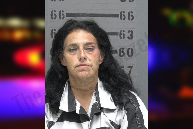 Angie Hopkins — Dougherty County Jail Bookings