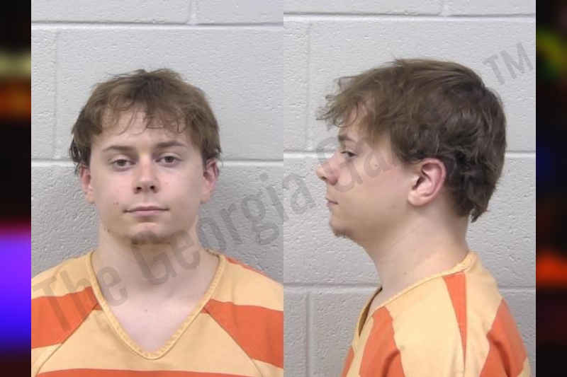 Ellis Ingraham — Paulding County Jail Bookings