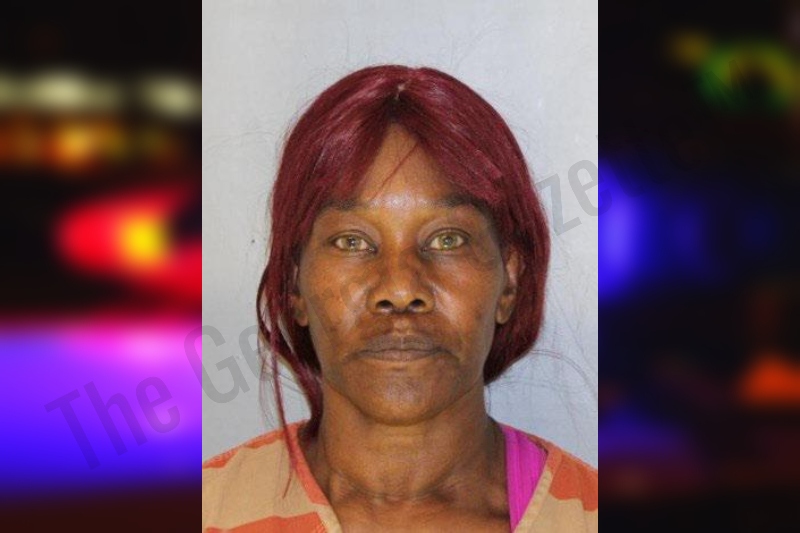 Michelle Jackson — Hall County Jail Bookings