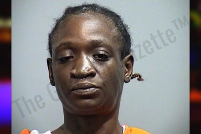 Effingham County Jail Bookings – Page 3 – The Georgia Gazette