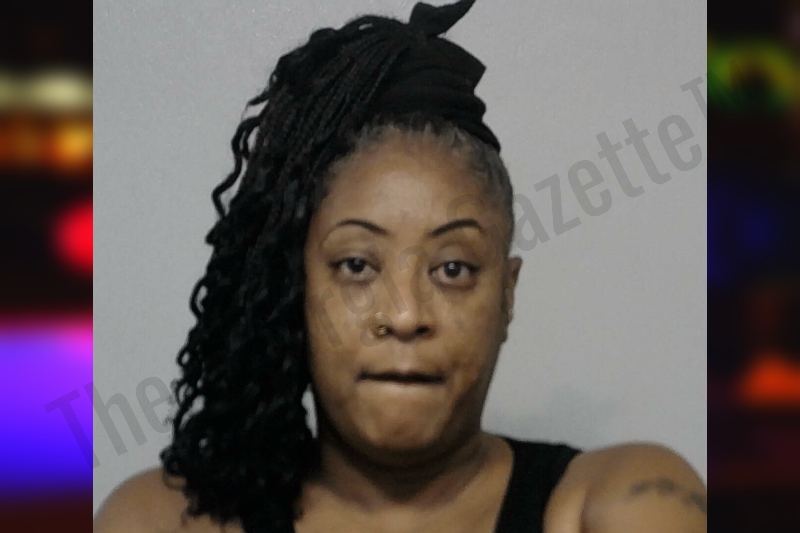 Jennifer Denmark — Bibb County Jail Bookings