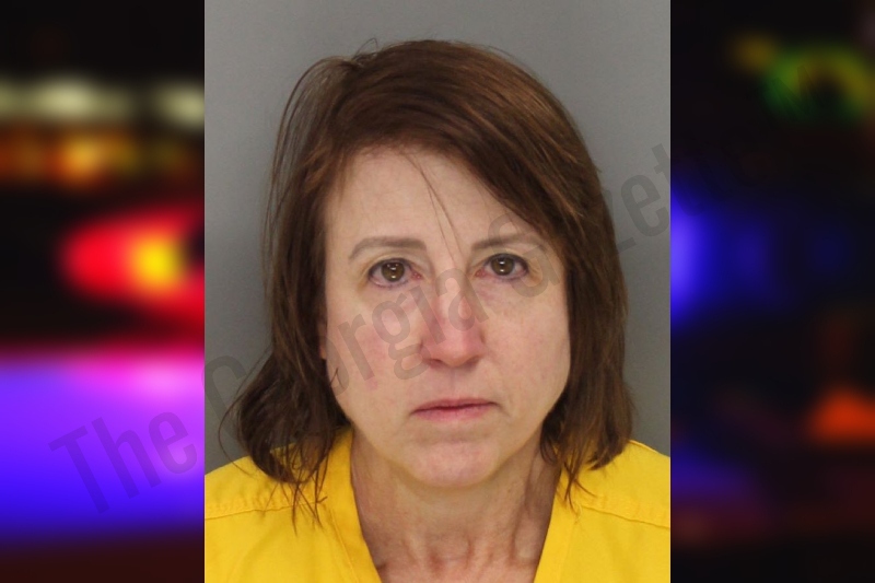 Michele King — Cobb County Jail Bookings