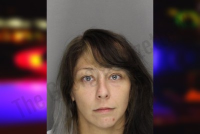 Andrea Layman — Cobb County Jail Bookings