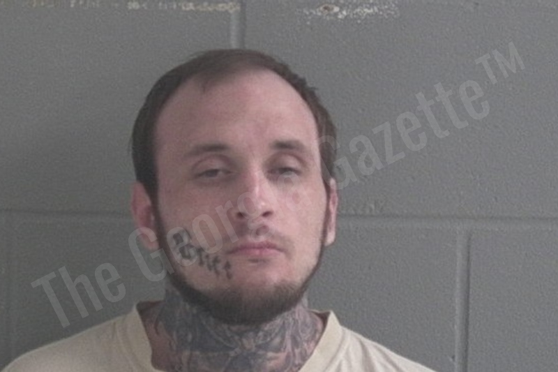 Timothy Lambert — Brantley County Jail Bookings