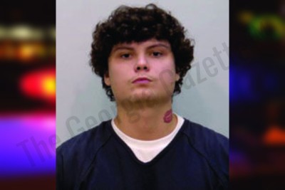 Tyler Lane — Bartow County Jail Bookings