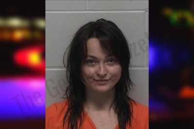 Madelynn Leet — Laurens County Jail Bookings