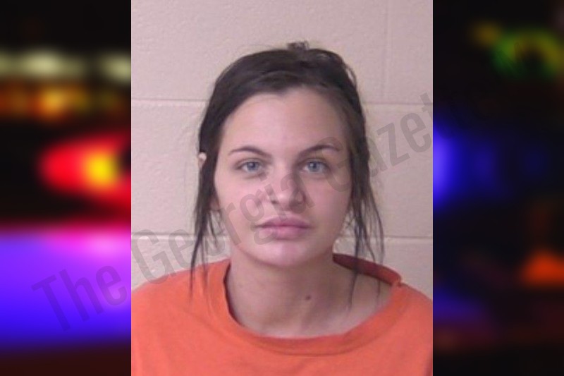 Destiny Lewis — Walker County Jail Bookings
