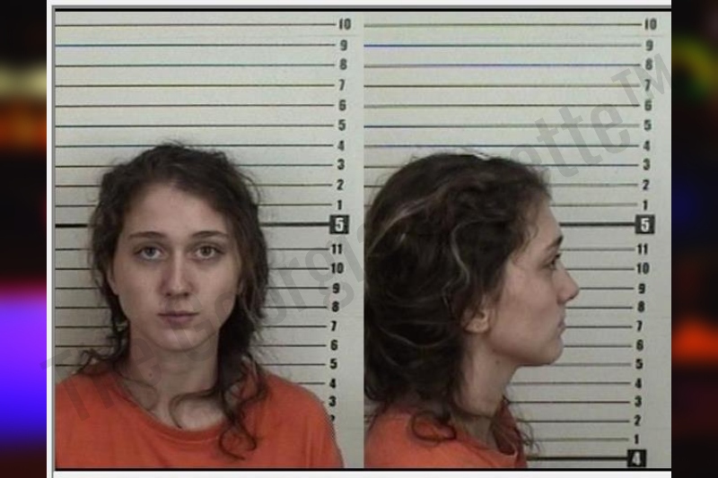 Chloe Logan — Camden County Jail Bookings