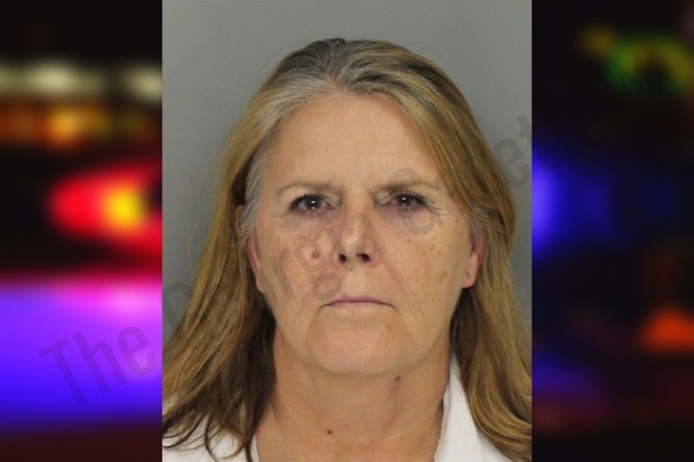 Sandra McCook — Cobb County Jail Bookings