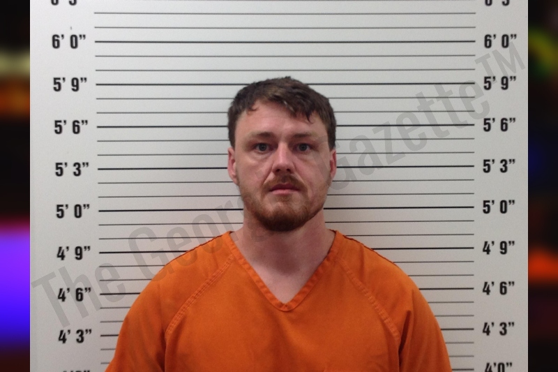 Tyler Mewborn — Pickens County Jail Bookings