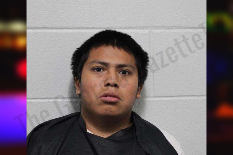 Habersham County Jail Bookings – Page 10 – The Georgia Gazette