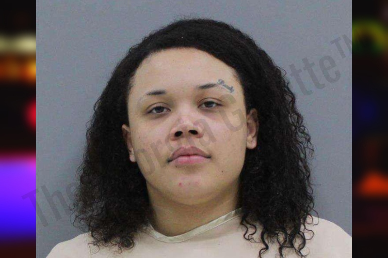 Ty’Jalane Mayfield — Rabun County Jail Bookings