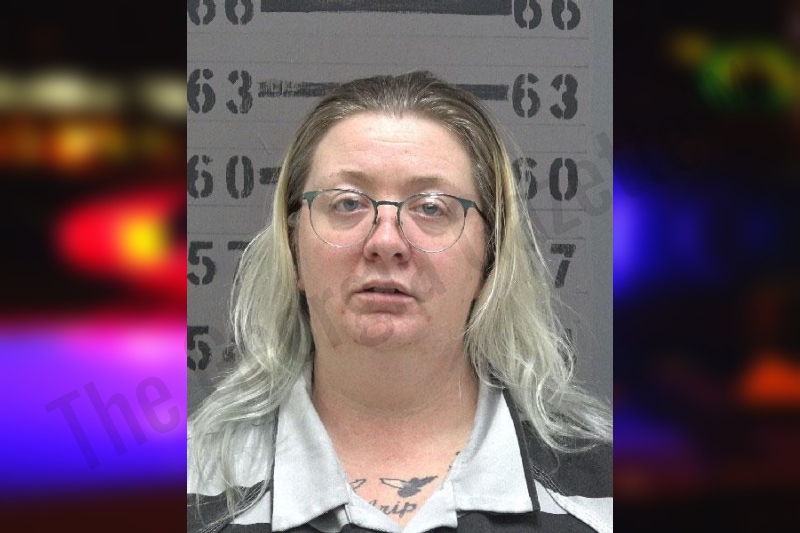 Kristy McDaniel — Dougherty County Jail Bookings